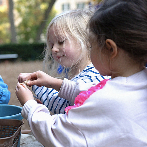 Four-Year-Old Program · Total Child